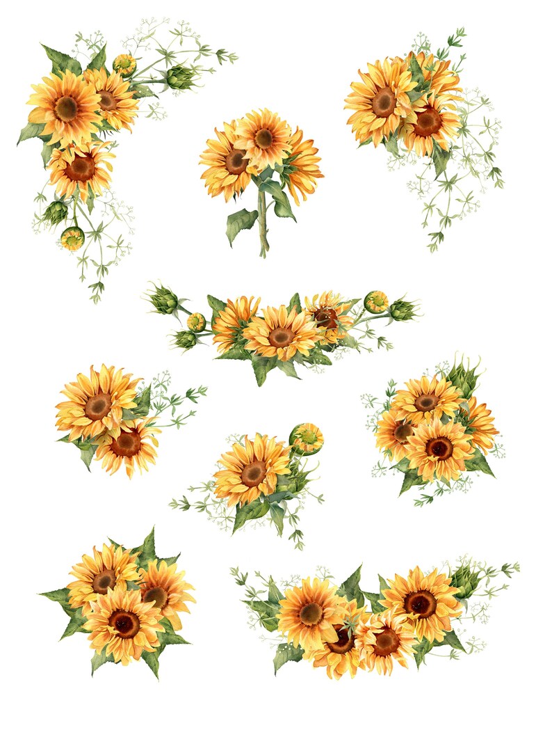 Watercolor Sunflower Clipart. Sunflowers Bouquet PNG. Floral ...
