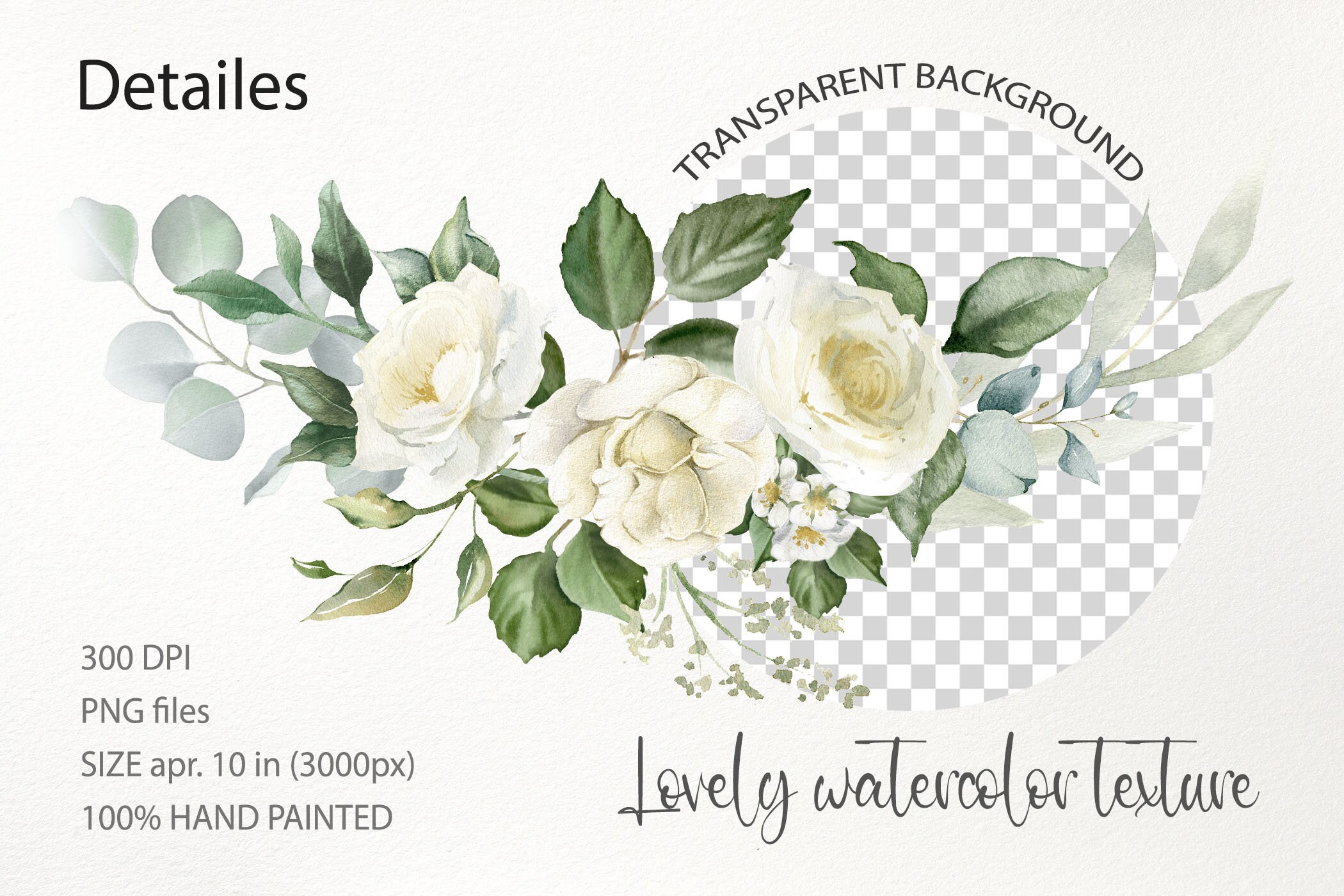 Watercolor White Flower Clipart. Creamy Ivory Alabaster Rose PNG ...