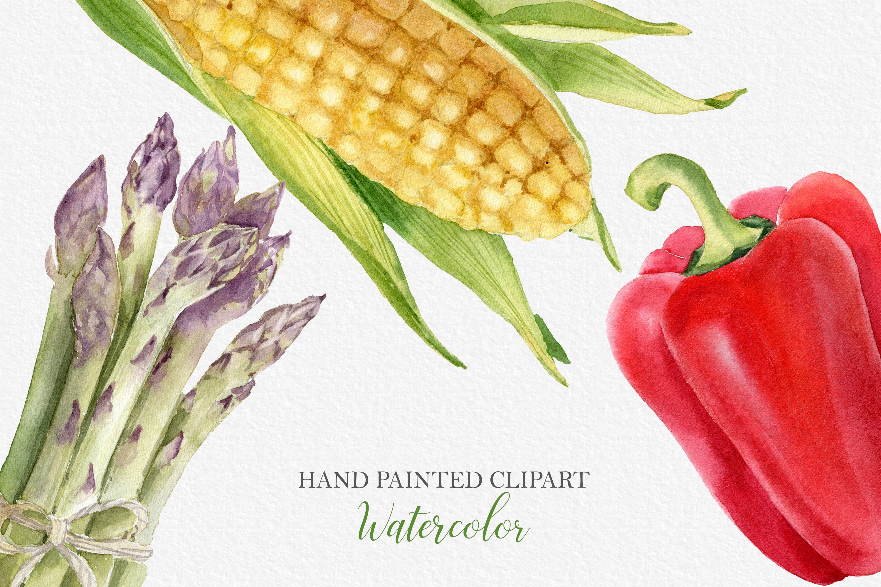 Watercolor Vegetable Clipart. Healthy Food Vegan PNG. Broccoli Tomato ...