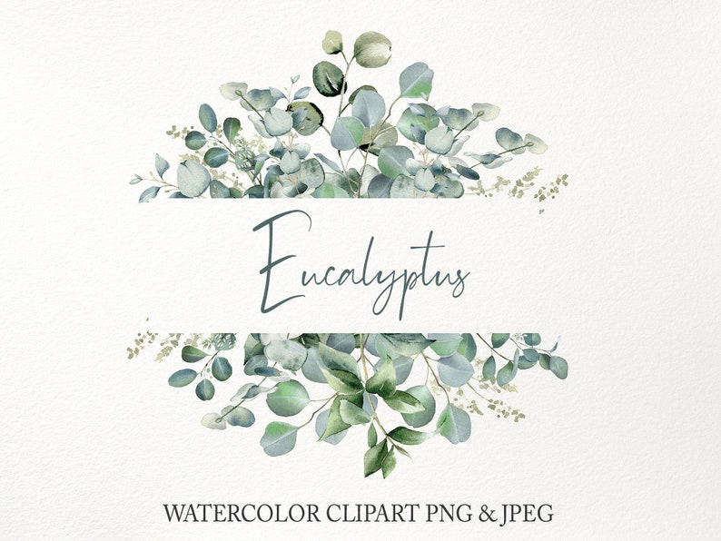 Eucalyptus Border Clipart. Greenery Frame PNG. Green Leaves Watercolor Wreath. Floral Wedding ...