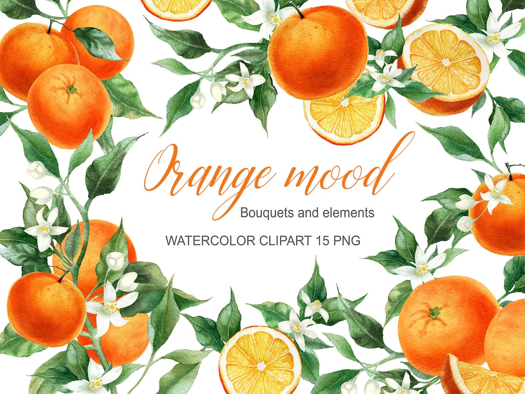 Orange Fruit Clipart. Watercolor Oranges PNG Illustration. Tangerine on ...