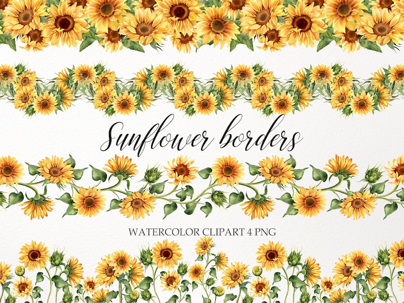 Sunflower Border Clipart. Watercolor Sunflowers Frame PNG. Seamless ...