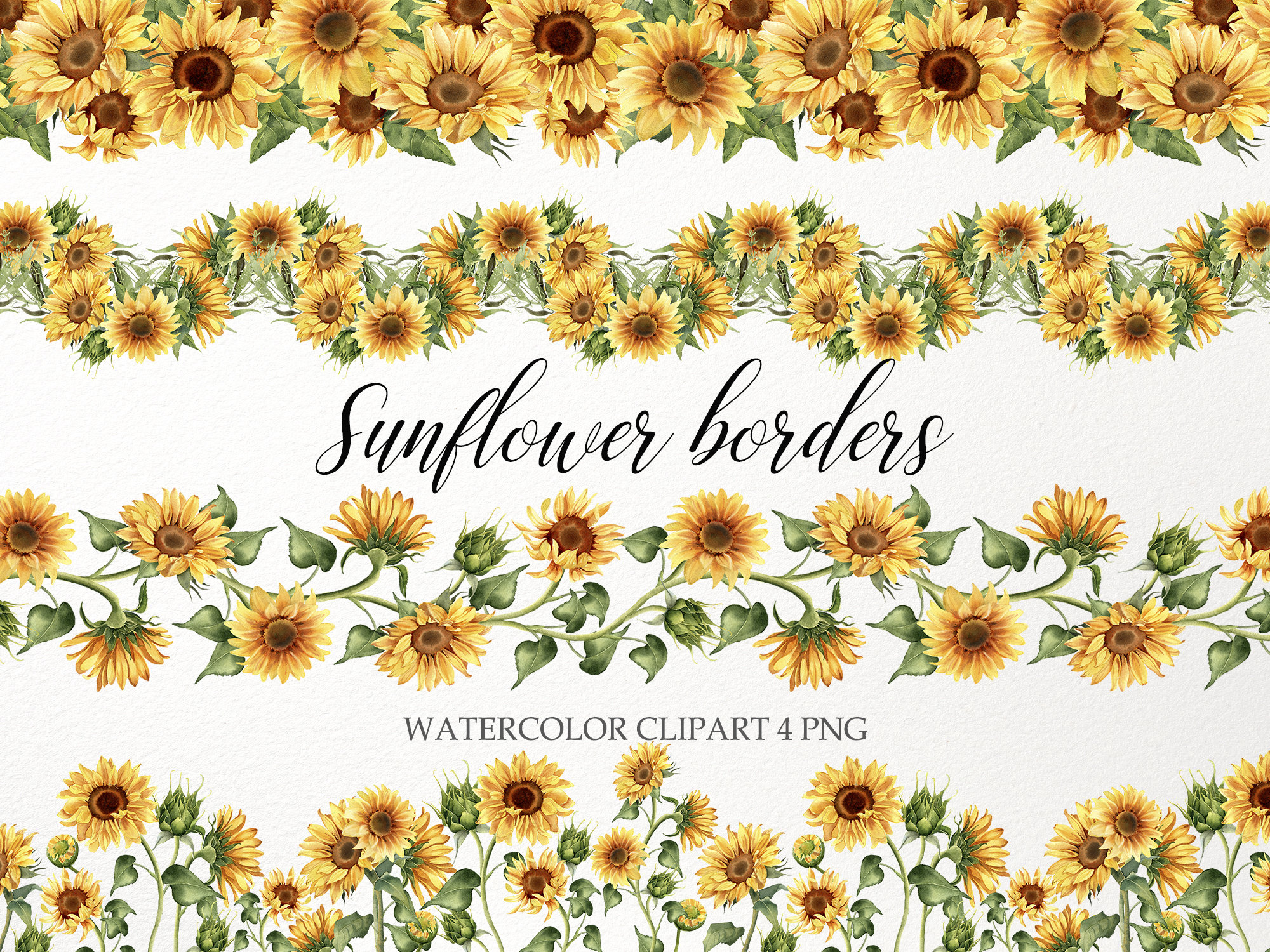 Sunflower Border Clipart. Watercolor Sunflowers Frame PNG. Seamless ...
