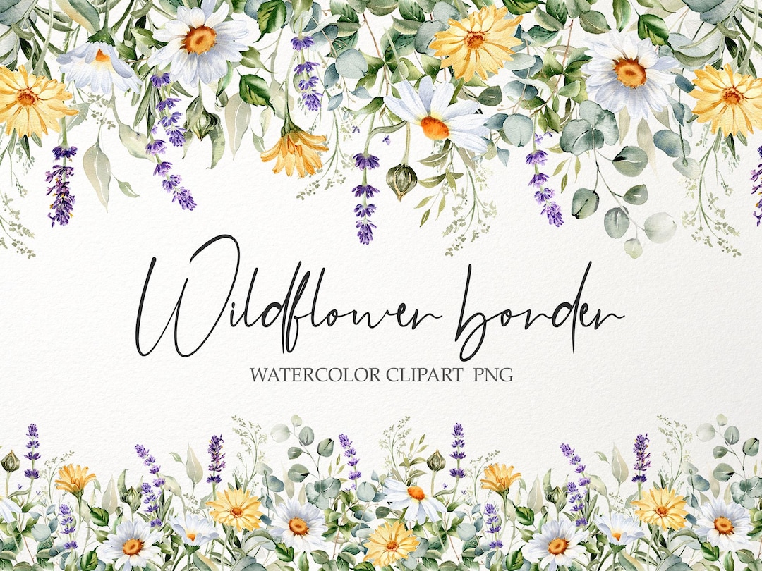 Wildflower Seamless Border PNG. Daisy Clipart. Lavender Frame. Meadow Flowers Watercolor ...