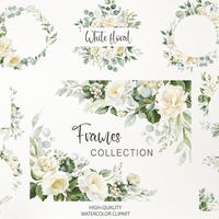 White Magnolia - Etsy