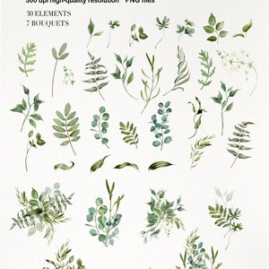 Greenery Clipart. Watercolor Eucalyptus PNG Green Leaves, Branch ...