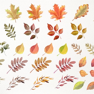 Fall Leaves Clipart. Watercolor Autumn Border PNG. Maple Leaf Wreath ...