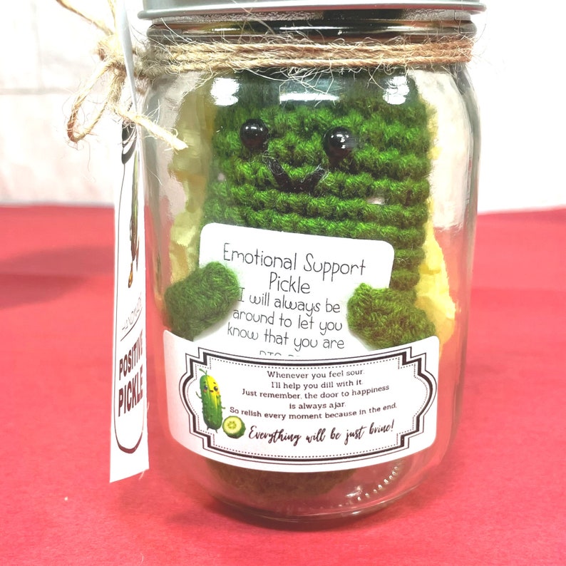 Positive Pickle Handmade Crochet Doll Figurine, Unique Gift ...