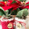 Mini Farmhouse Faux Christmas Tree Crochet Planter Sweater Cozy Winter ...