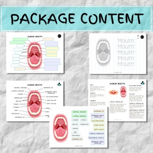 Human MOUTH Anatomy Busy Book Insert Children Early Learning Activity ...