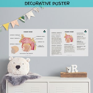 Human NOSE Anatomy Busy Book Insert Children Early Learning Activity ...