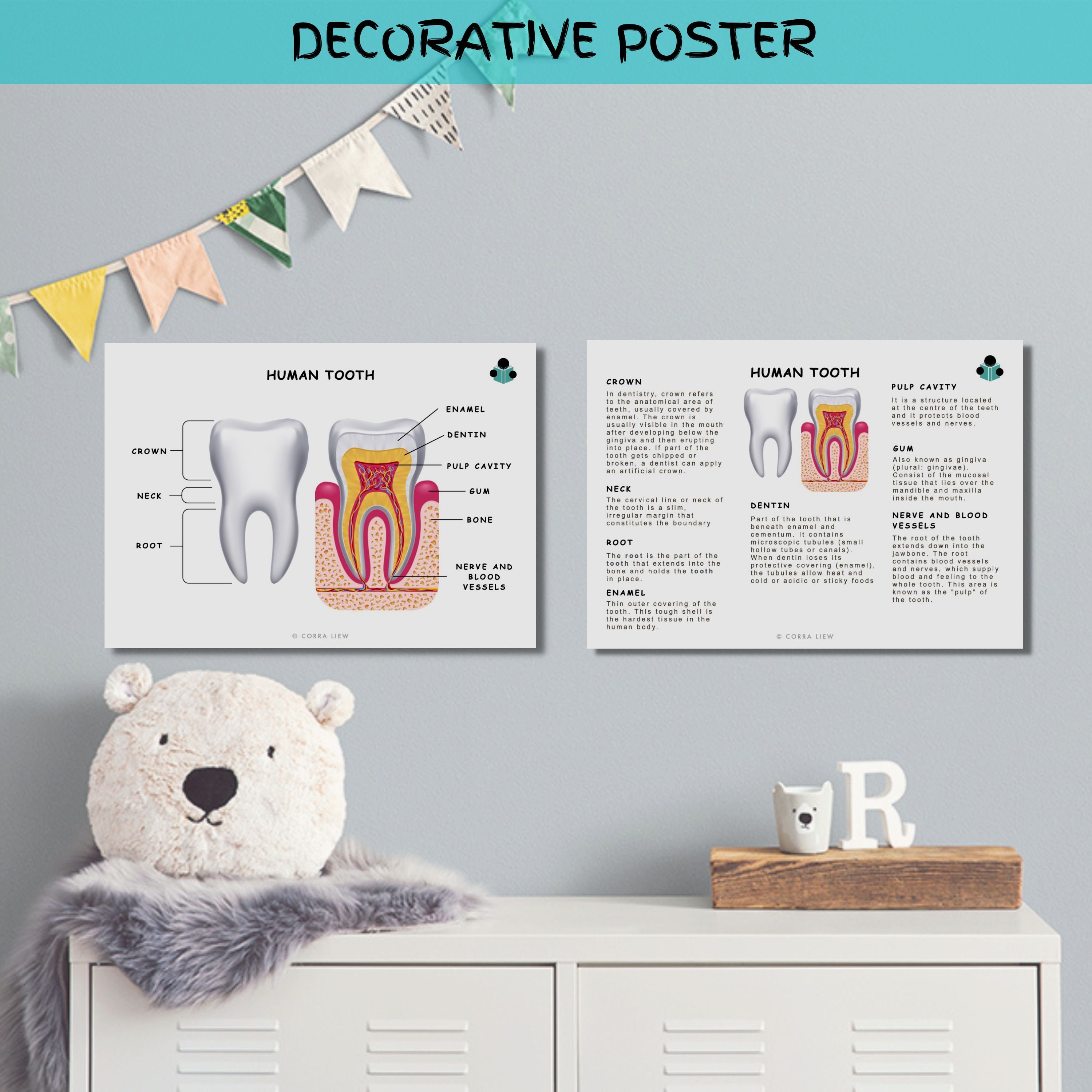 Human TOOTH Anatomy Busy Book Insert Children Early Learning Activity ...