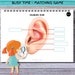 Human EAR Anatomy Busy Book Insert Children Early Learning Activity ...