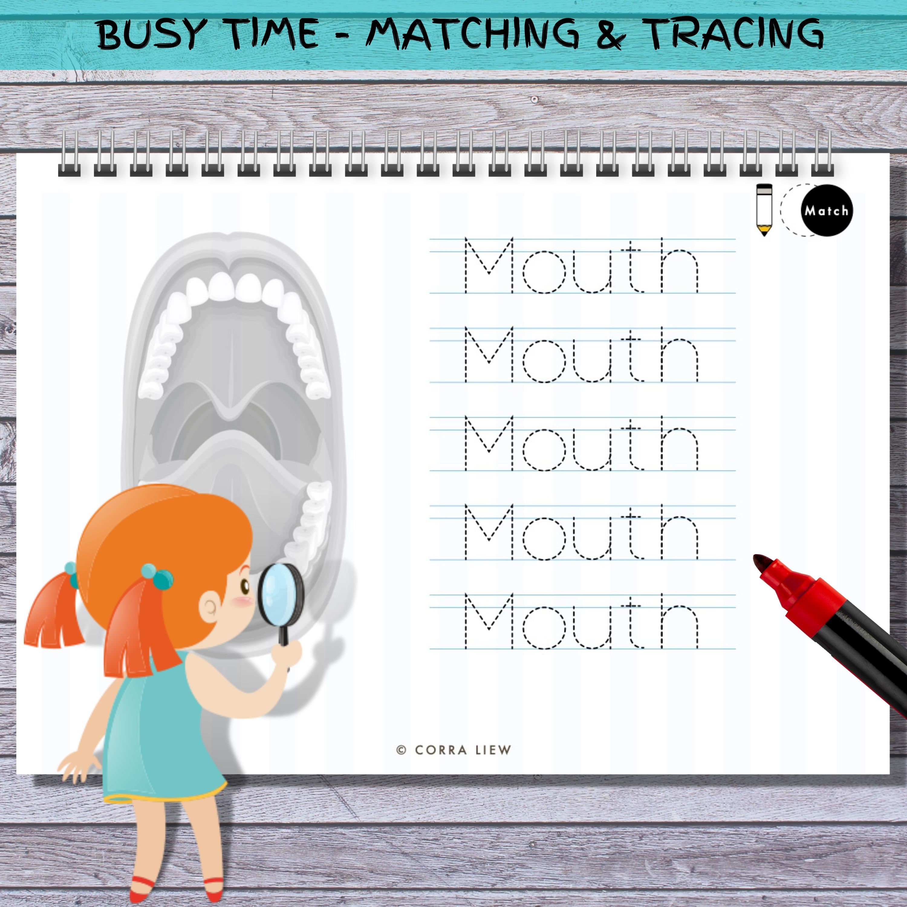 Human MOUTH Anatomy Busy Book Insert Children Early Learning Activity ...