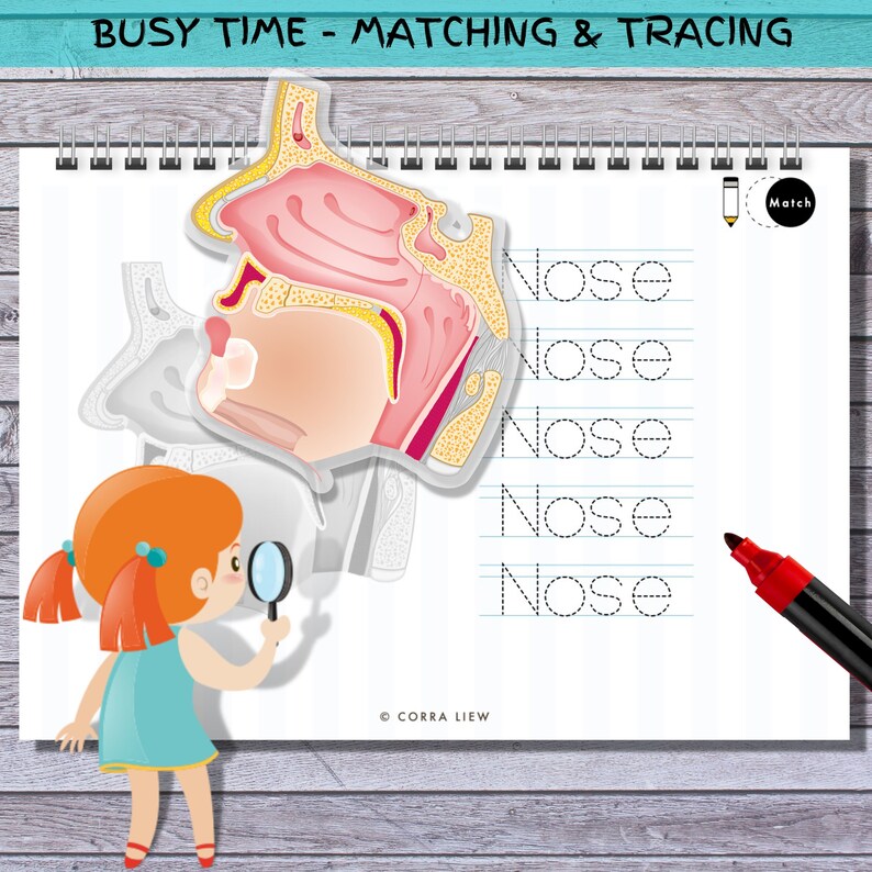 Human NOSE Anatomy Busy Book Insert Children Early Learning Activity ...