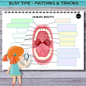 Human MOUTH Anatomy Busy Book Insert Children Early Learning Activity ...