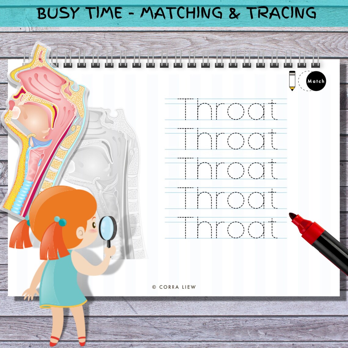 Human THROAT Anatomy Quiet Busy Activity Book Insert Children Early ...