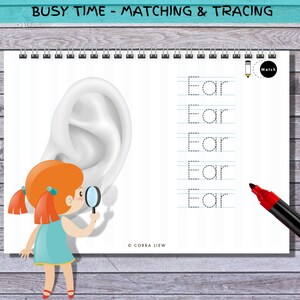 Human EAR Anatomy Busy Book Insert Children Early Learning Activity ...