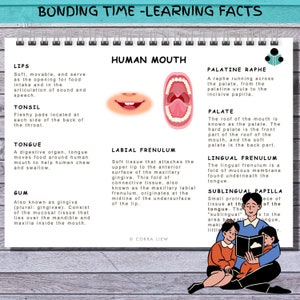 Human MOUTH Anatomy Busy Book Insert Children Early Learning Activity ...