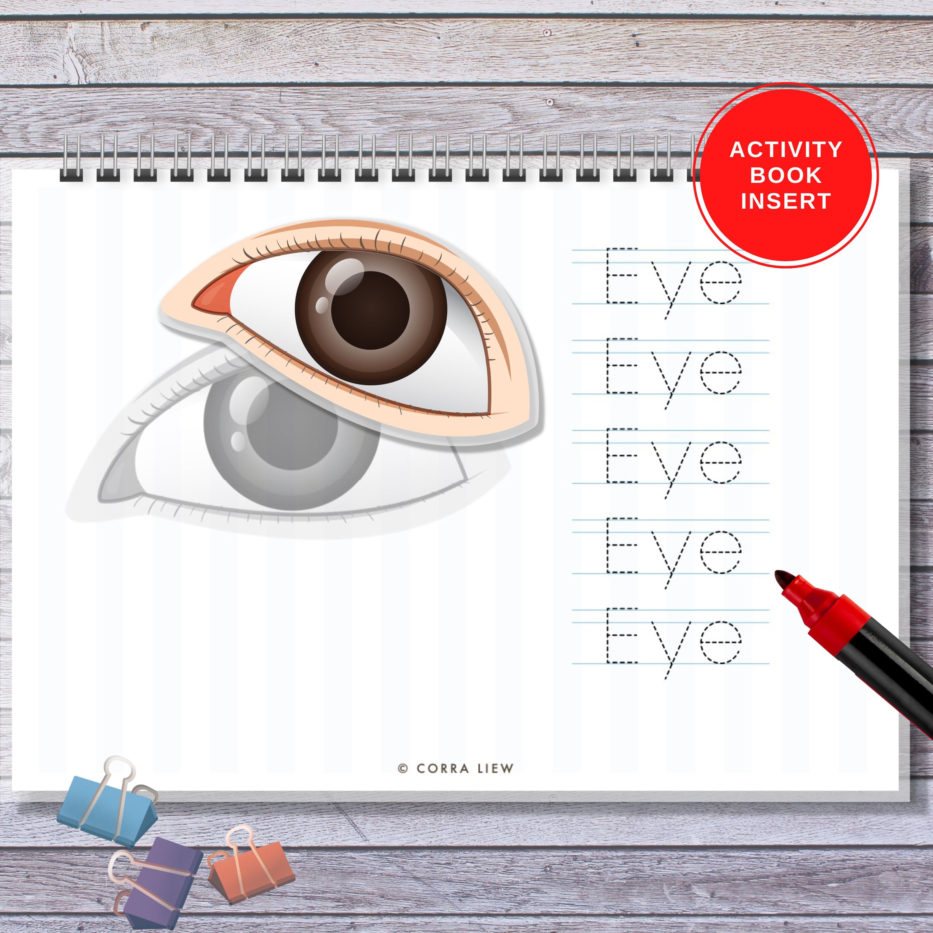 Human EYE Anatomy Busy Book Insert Children Early Learning Activity ...