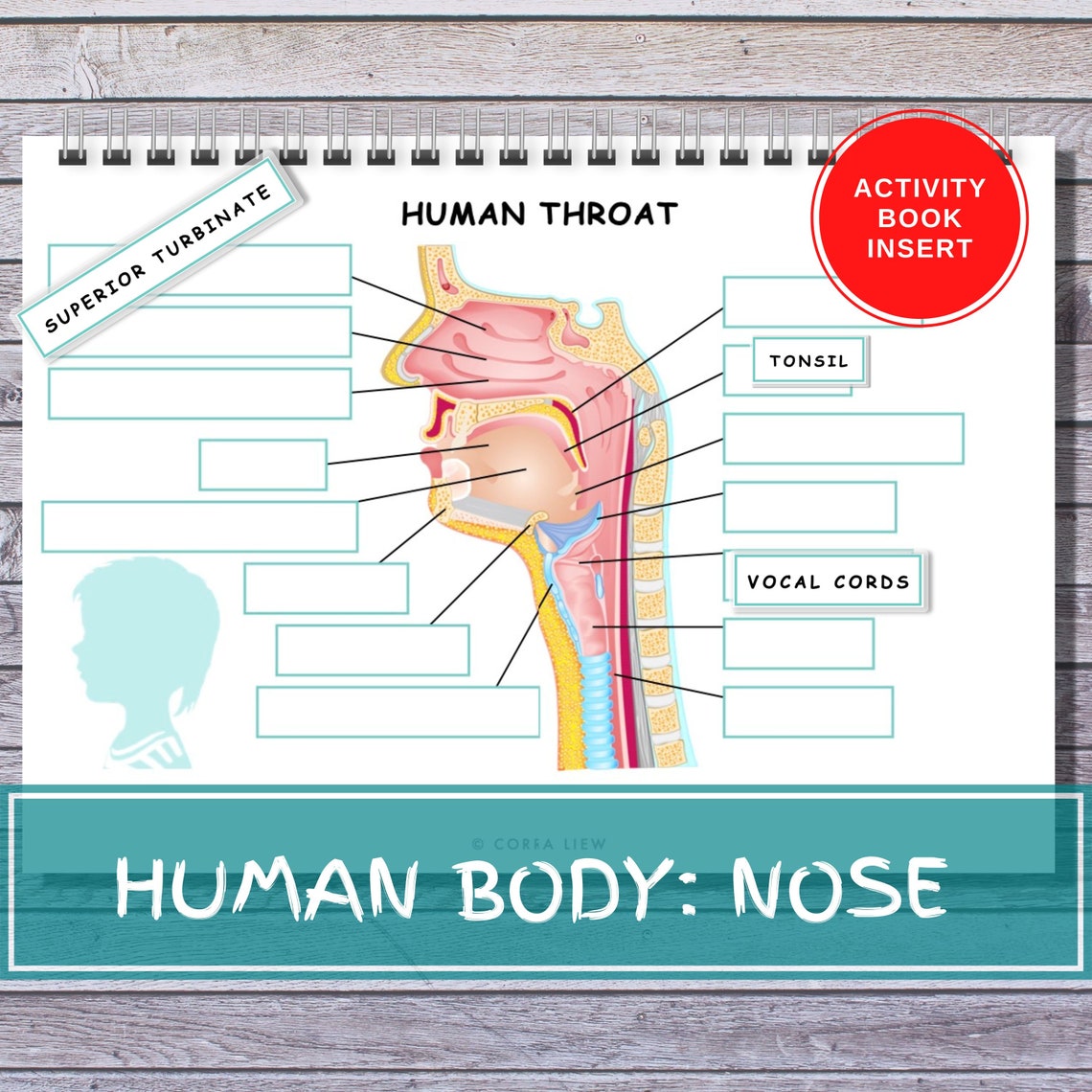 Human THROAT Anatomy Quiet Busy Activity Book Insert Children Early ...