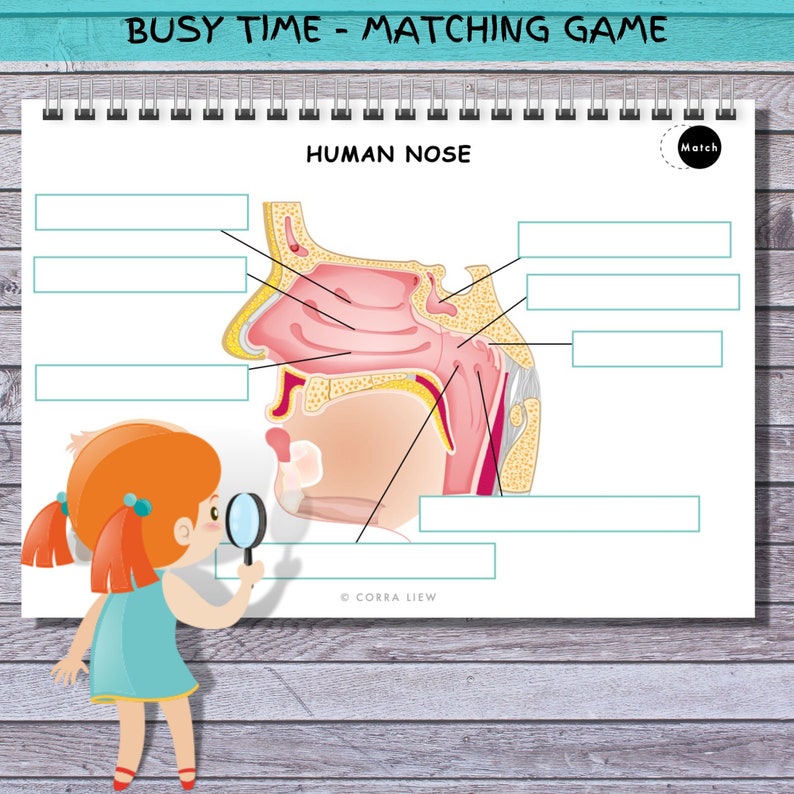 Human NOSE Anatomy Busy Book Insert Children Early Learning Activity ...