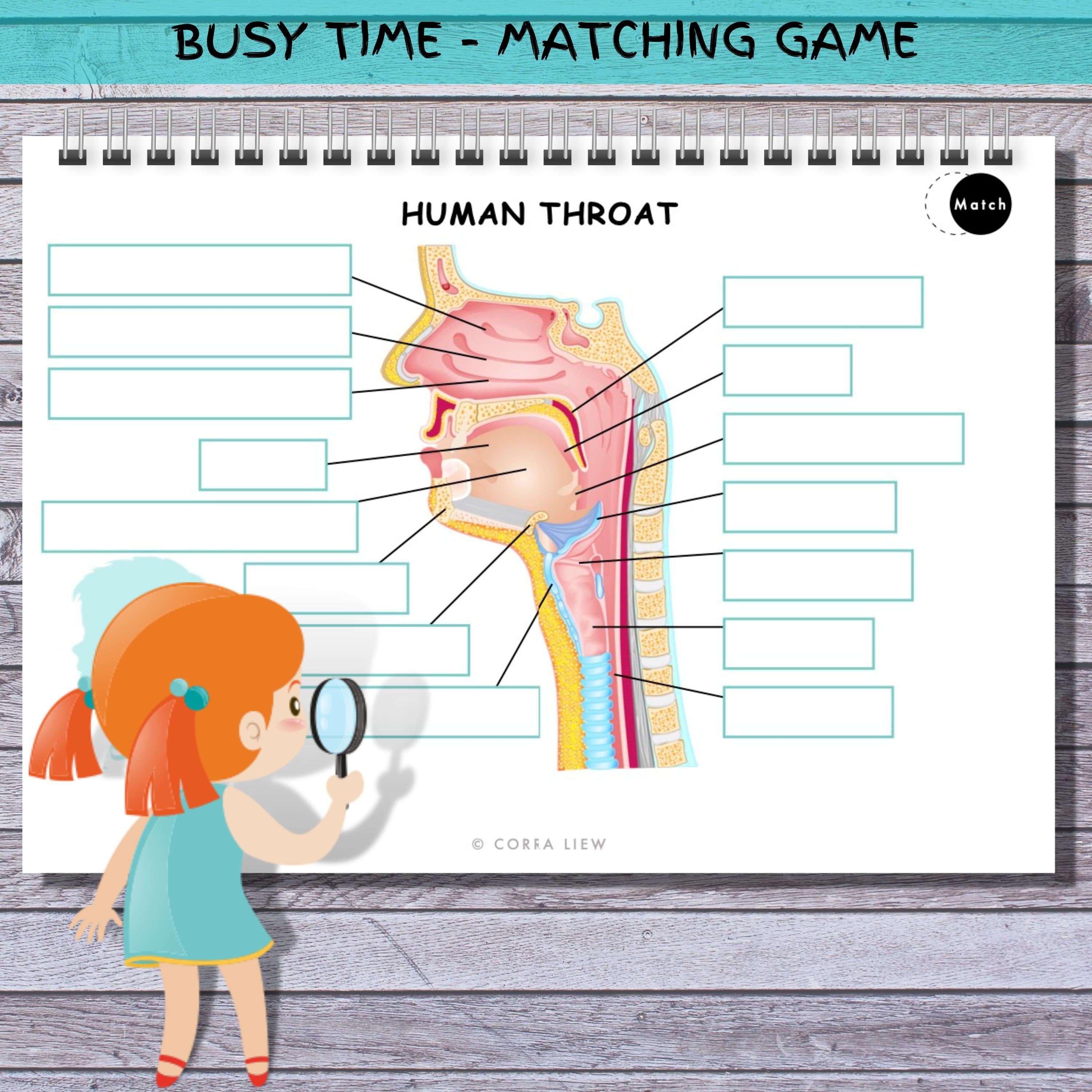Human THROAT Anatomy Quiet Busy Activity Book Insert Children Early ...