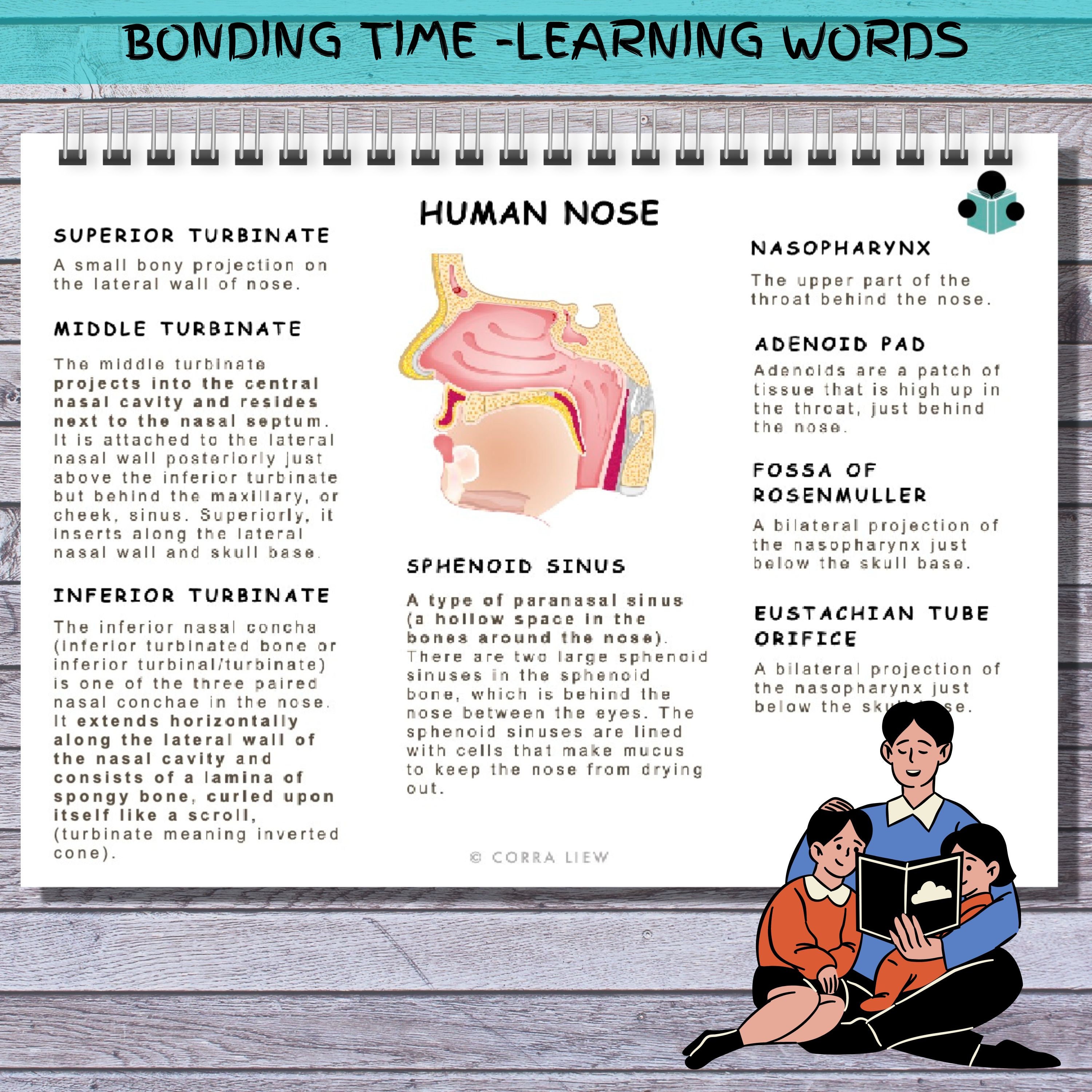 Human NOSE Anatomy Busy Book Insert Children Early Learning Activity ...