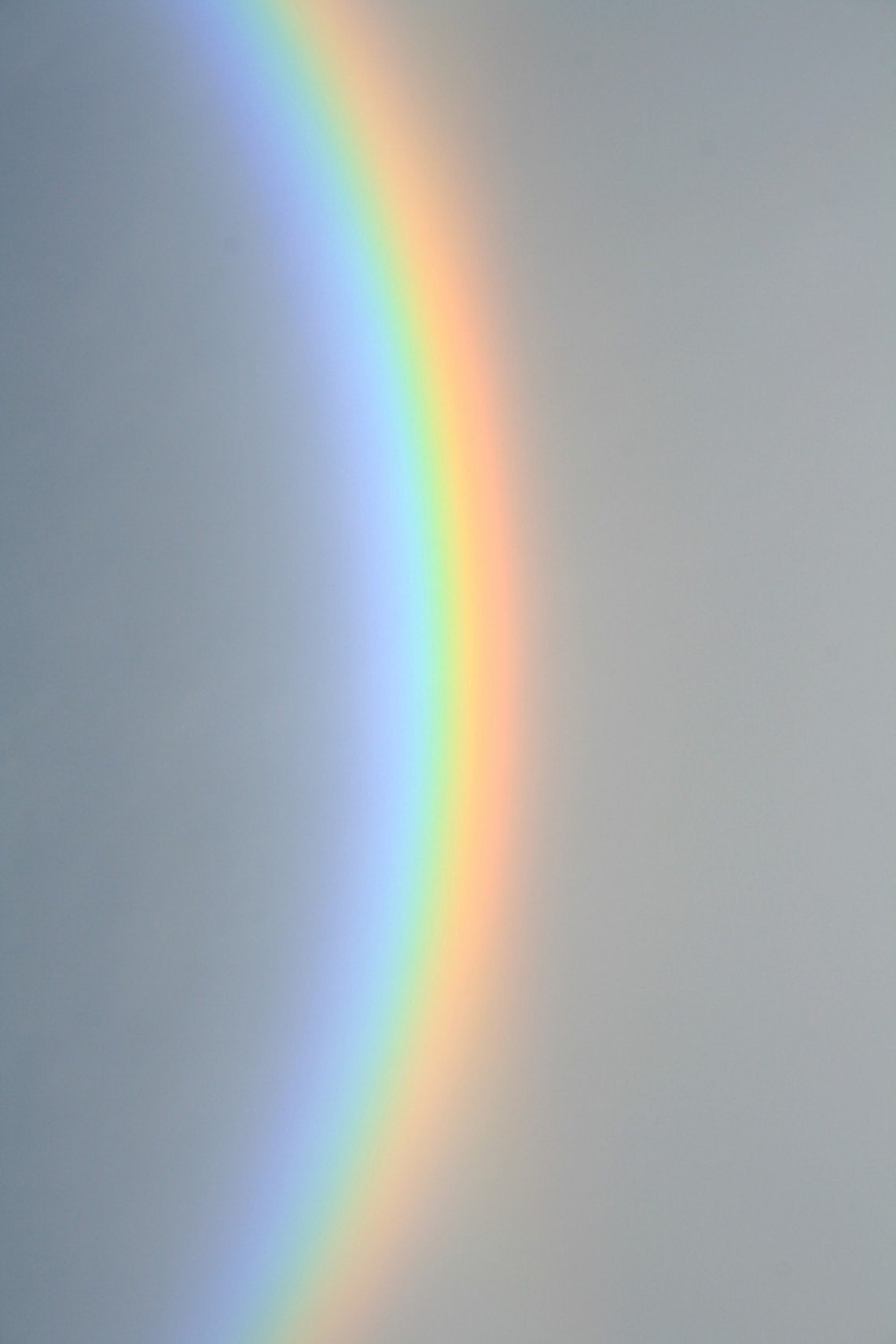 Spectrum - Nature Art Photograph - Etsy