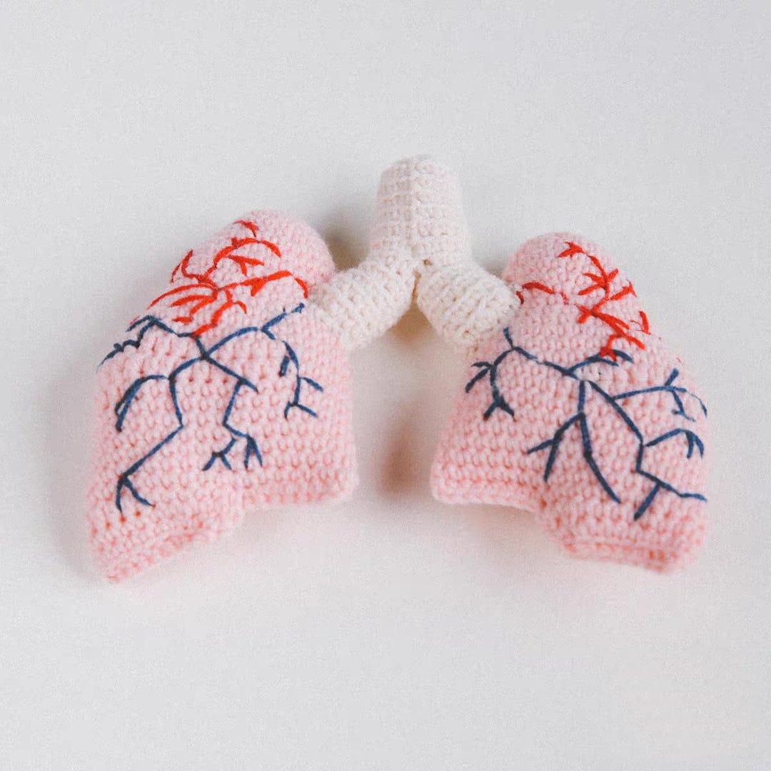 Crochet Creature Toys,plush Anatomical Lungs,human Lungs Crochet ...
