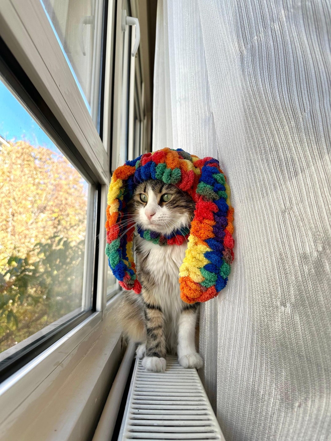 Cat Costume, Cat Accessories, Hat for Cat, Unique Cat Gifts - Etsy