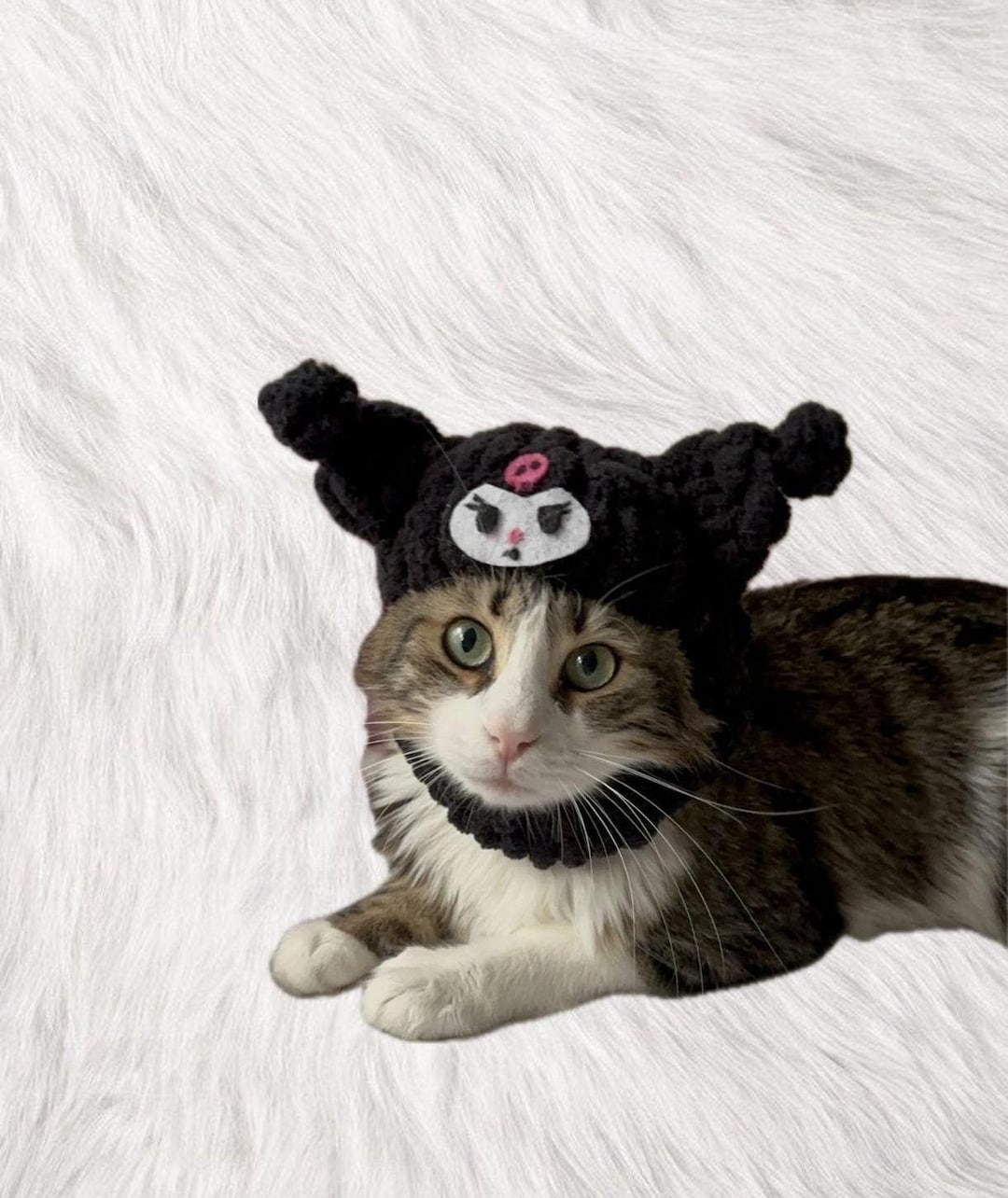 Cat Hat, Hats for Cat, Cat Clothing, Cat Wears, Cat Wearing Hat, Pet ...