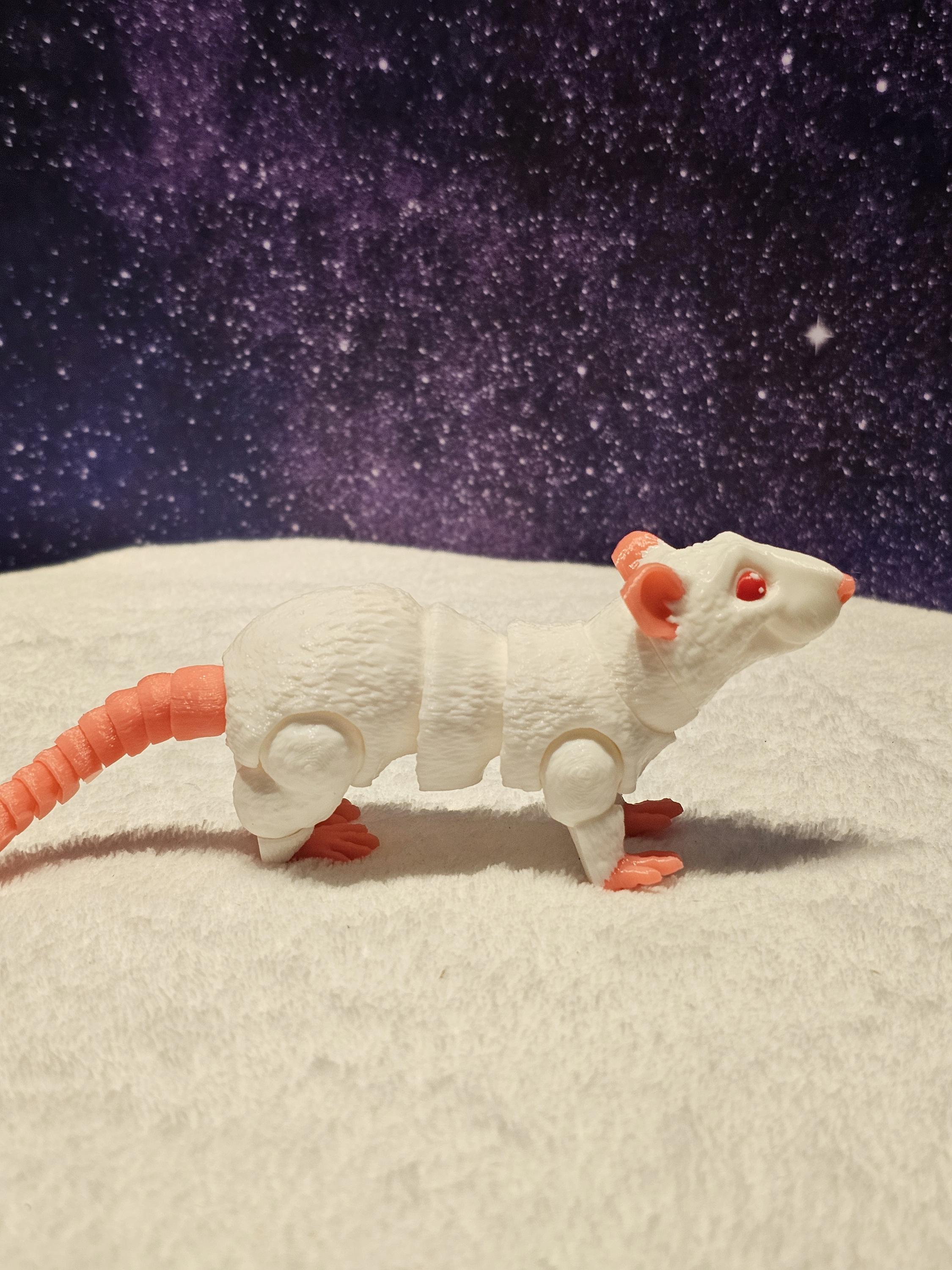 Rat: Articulated 3D Printed Poseable Figurine - Etsy