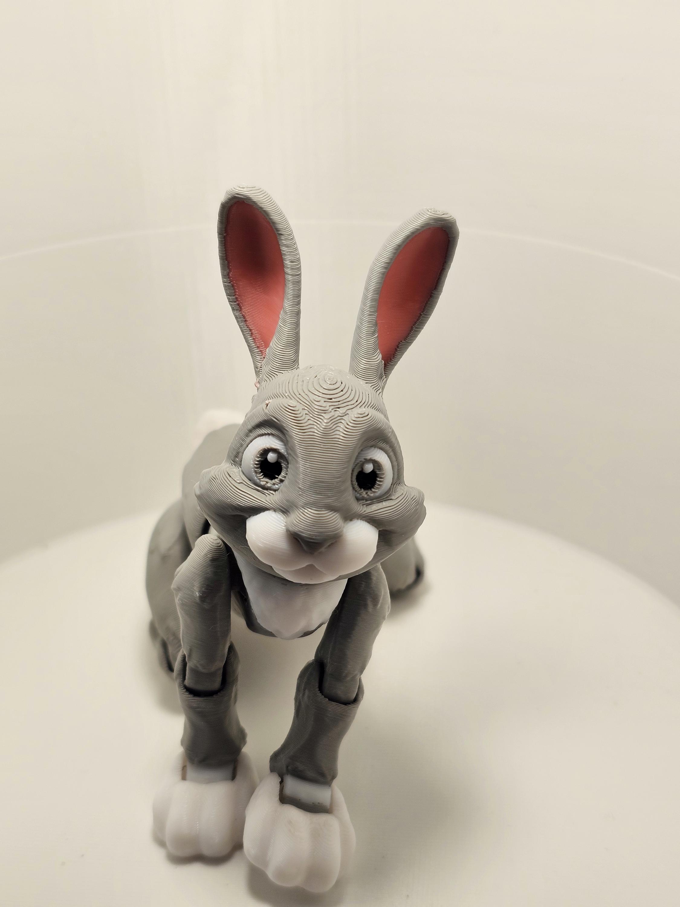 Bunny Rabbit Figurine: Articulated 3D Printed Desk Pet - Etsy