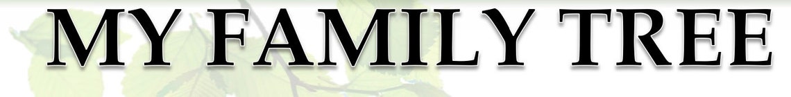 Editable Family Chart Template 4 Generations Download Fillable PDF ...