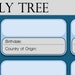 Editable Ethnic Family Tree | 4 Generation Chart With Country of Origin ...