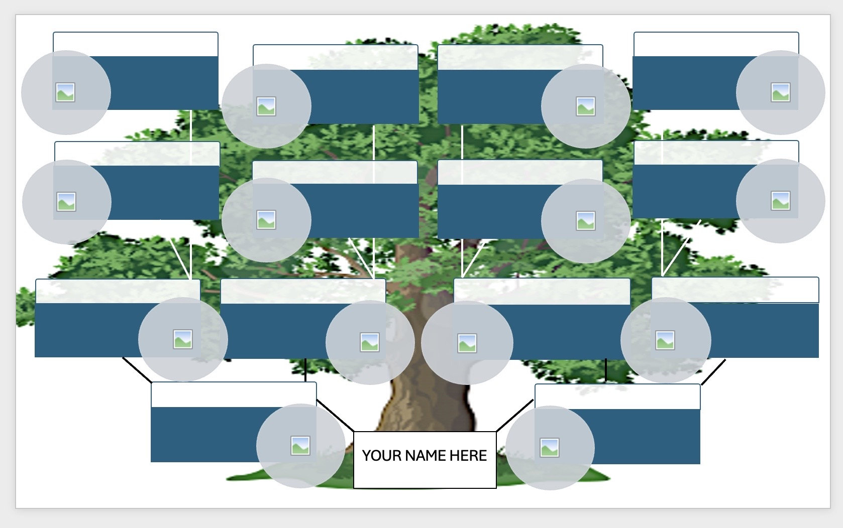 Editable Family Tree 4 Generation Fillable Microsoft Word Template - Etsy