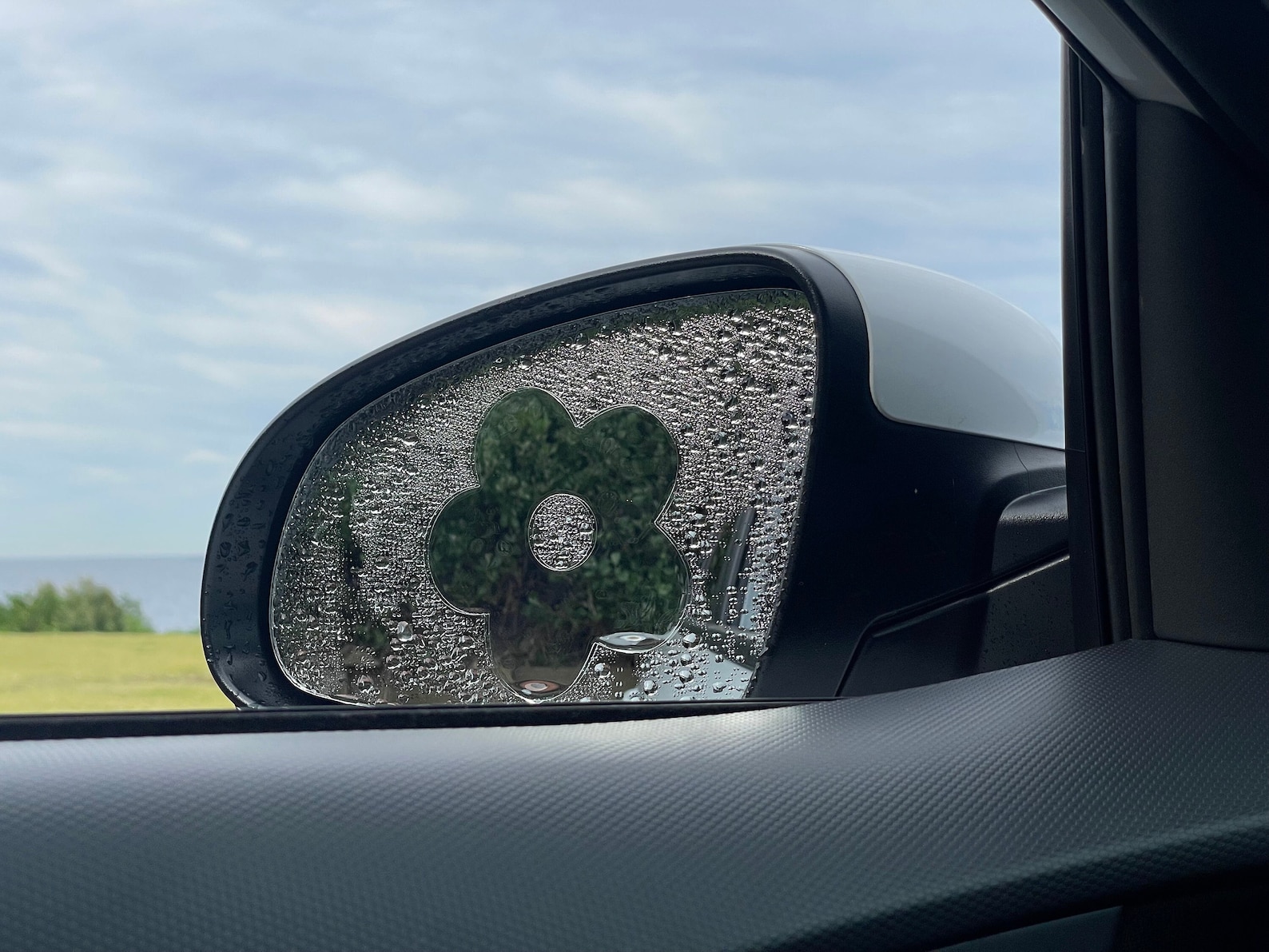 Daisy Flower Mirror Peeker 2pcs Anti Rain Anti Fog Car Decal Discreet ...