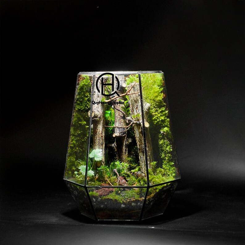 Enchanted Forest Terrarium: A Captivating Miniature Ecosystem - Etsy