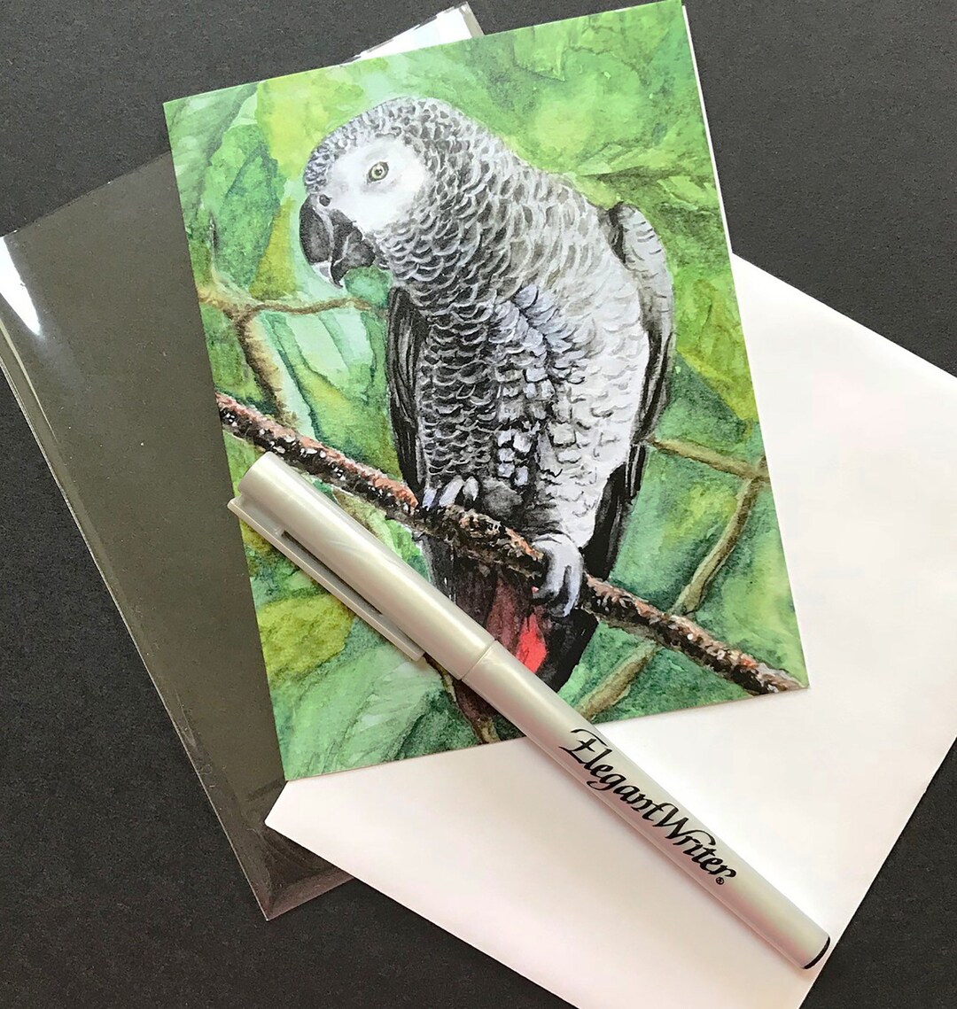 5 Gray Parrot Cards, African Gray Card, African Gray Parrot, 5 Blank ...