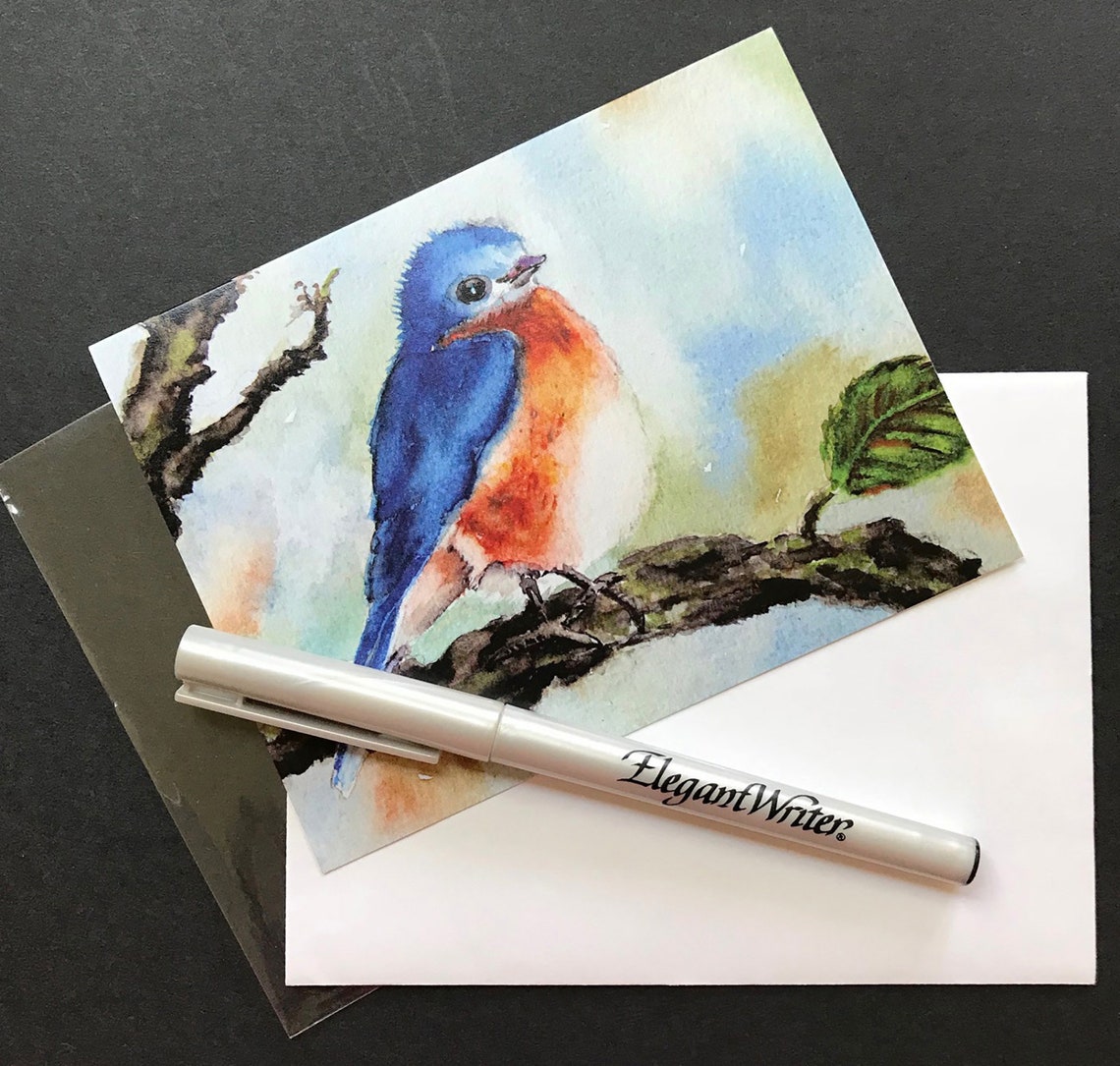 5 Bluebird Cards Bluebird Blank Cards 5 Note Card Set | Etsy