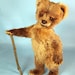 Bear Cub Sewing Pattern, Realistic Bear Pattern, PDF Teddy Pattern ...