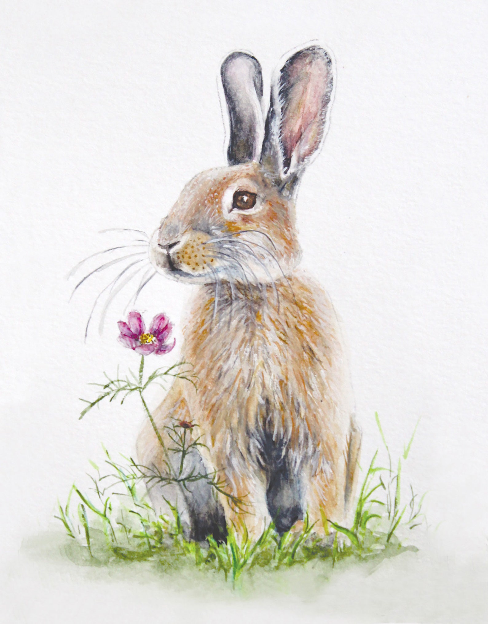 5 Bunny Rabbit Cards 5 Woodland Cards Rabbit Art Card Set - Etsy