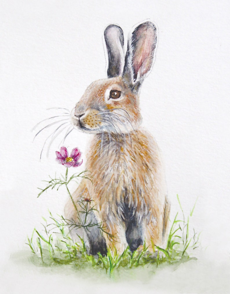 5 Bunny Rabbit Cards 5 Woodland Cards Rabbit Art Card Set - Etsy