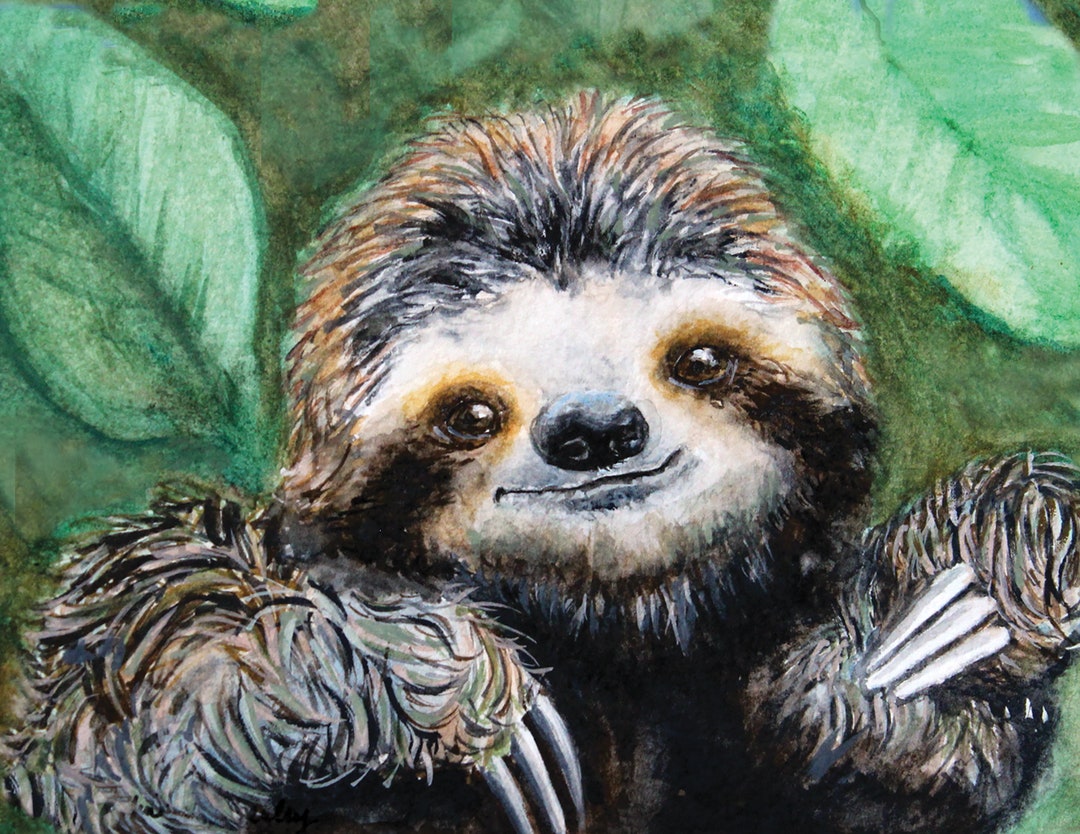 Sloth Painting, Watercolor Sloth, Baby Sloth, Tropical Forest Art ...