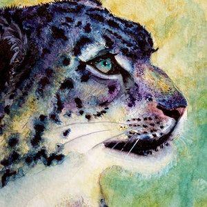 5 Pack Leopard Cards,snow Leopard Cards, Blank Note Cards, With ...