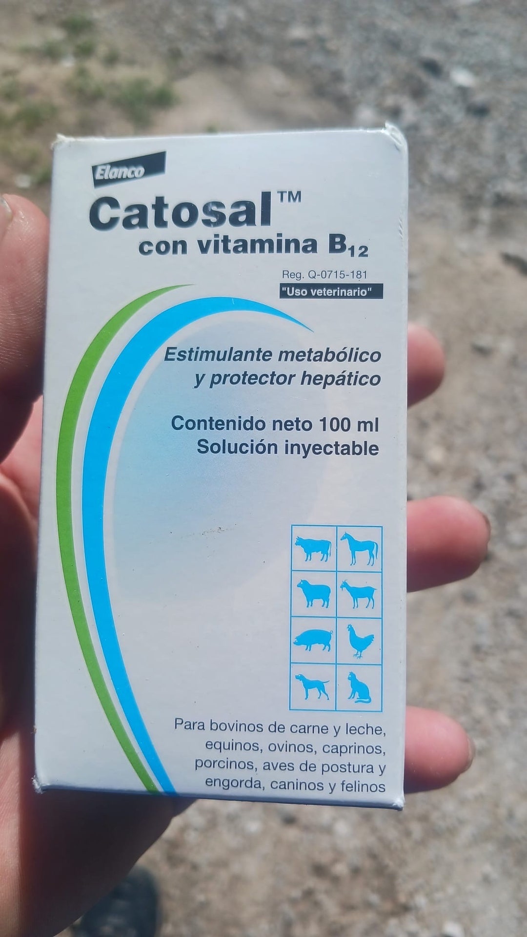 CATOSAL with Vitamin B-12 - Etsy