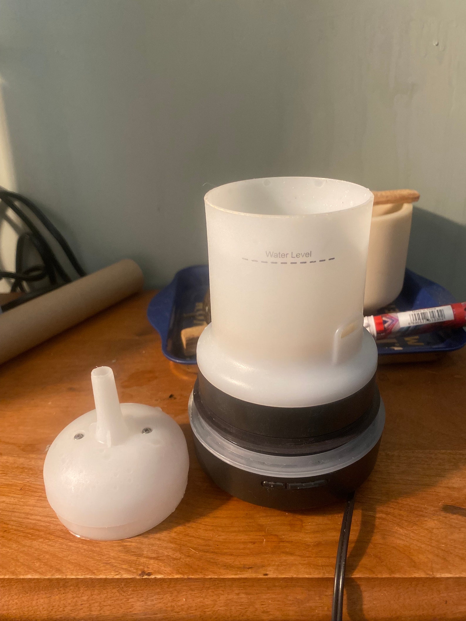 Cactus ｜ Diffuser ｜ Humidifier ｜ Oil Diffuser - Etsy