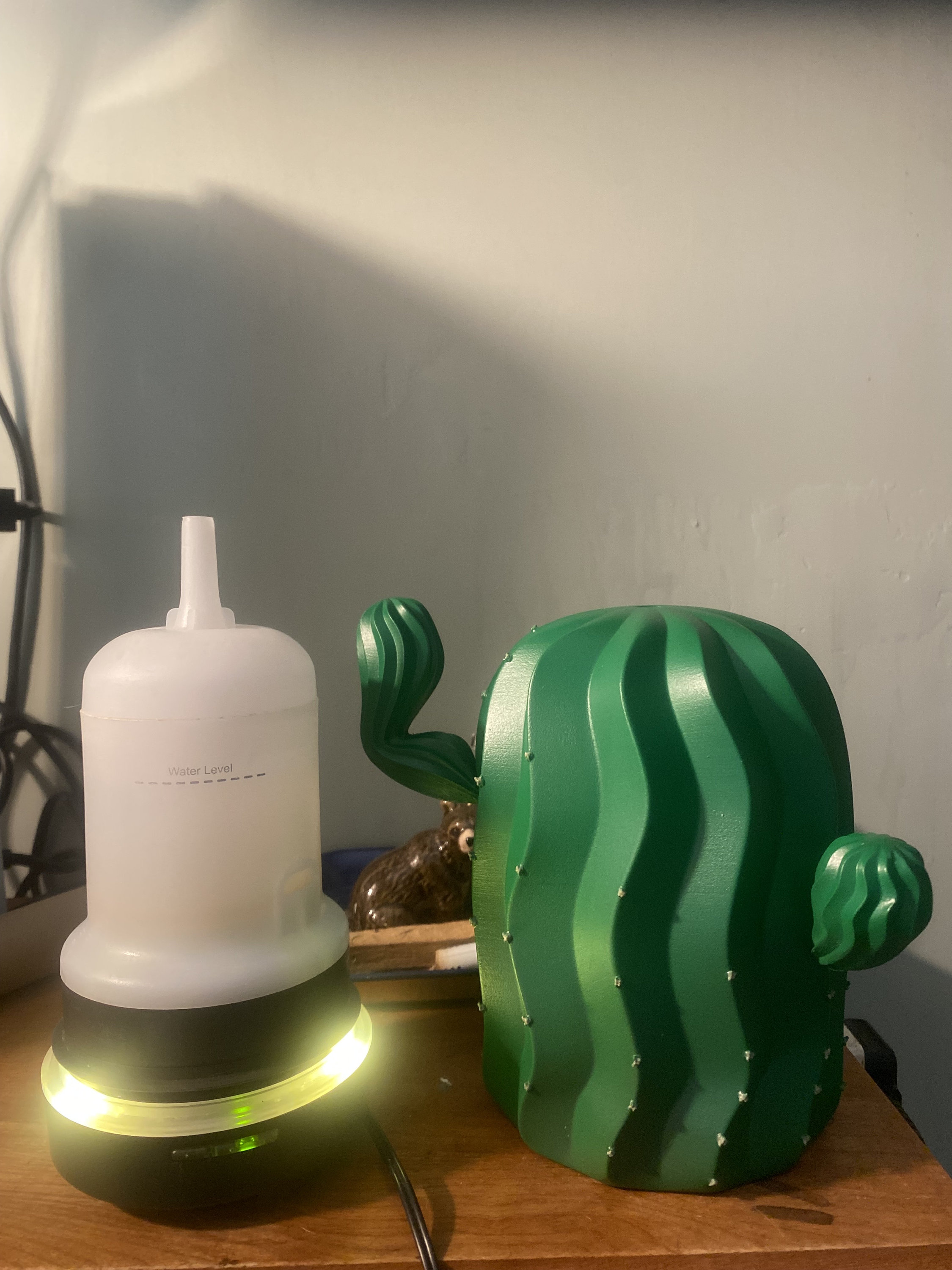 Cactus ｜ Diffuser ｜ Humidifier ｜ Oil Diffuser - Etsy