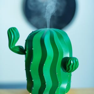 Cactus ｜ Diffuser ｜ Humidifier ｜ Oil Diffuser - Etsy
